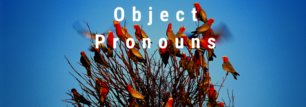 OBJECT PRONOUNS | Learn English Fondly